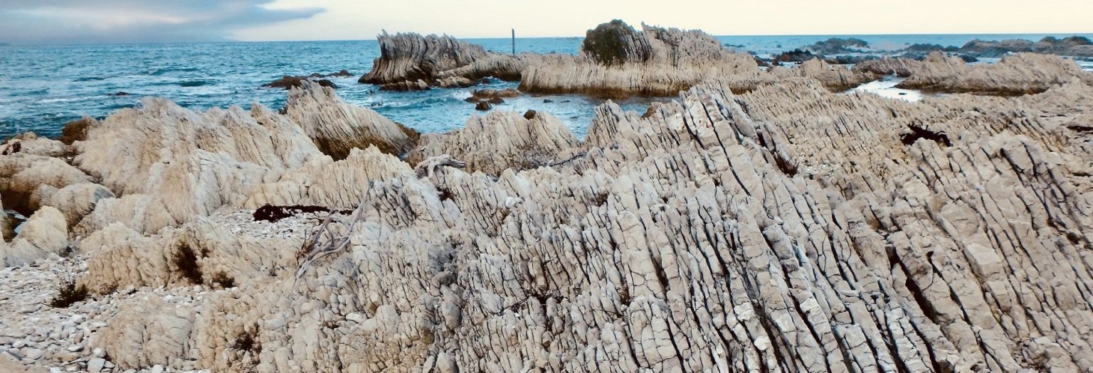 Describing and Interpreting Carbonate Core – Applied Stratigraphix