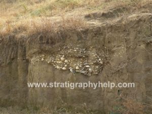 Fluvial and Shallow Marine Sandstone Reservoirs – Applied Stratigraphix