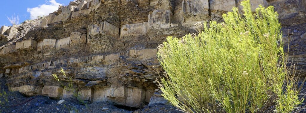 Mechanical Stratigraphy and Geomechanics of Shale – Applied Stratigraphix