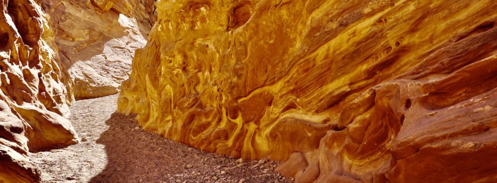 Online Courses – Applied Stratigraphix