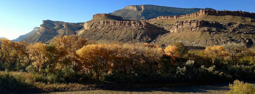Log Interpretation of Clastic Depositional Environments – Applied ...