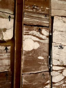 How to Describe and Interpret Evaporite Core – Applied Stratigraphix