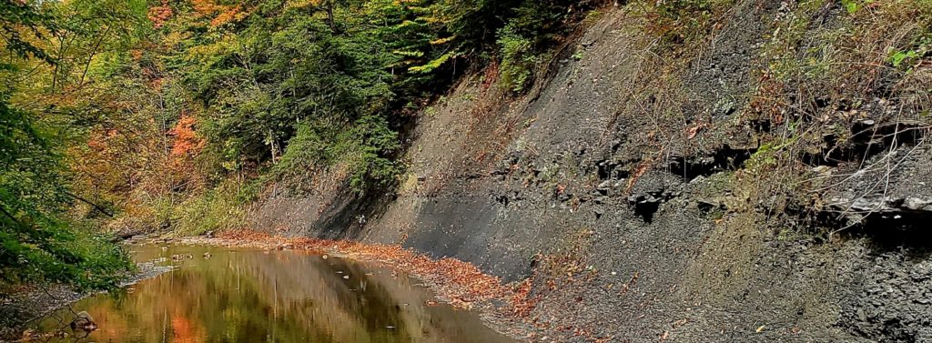 Fractures and Facies of the Marcellus Shale – Applied Stratigraphix