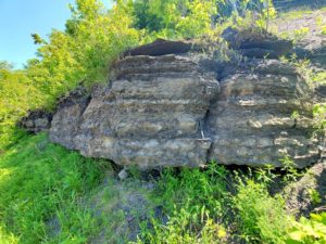 Fractures and Facies of the Marcellus Shale – Applied Stratigraphix