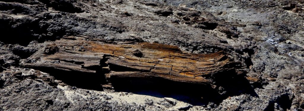 Crash Course In Coal Geology Applied Stratigraphix