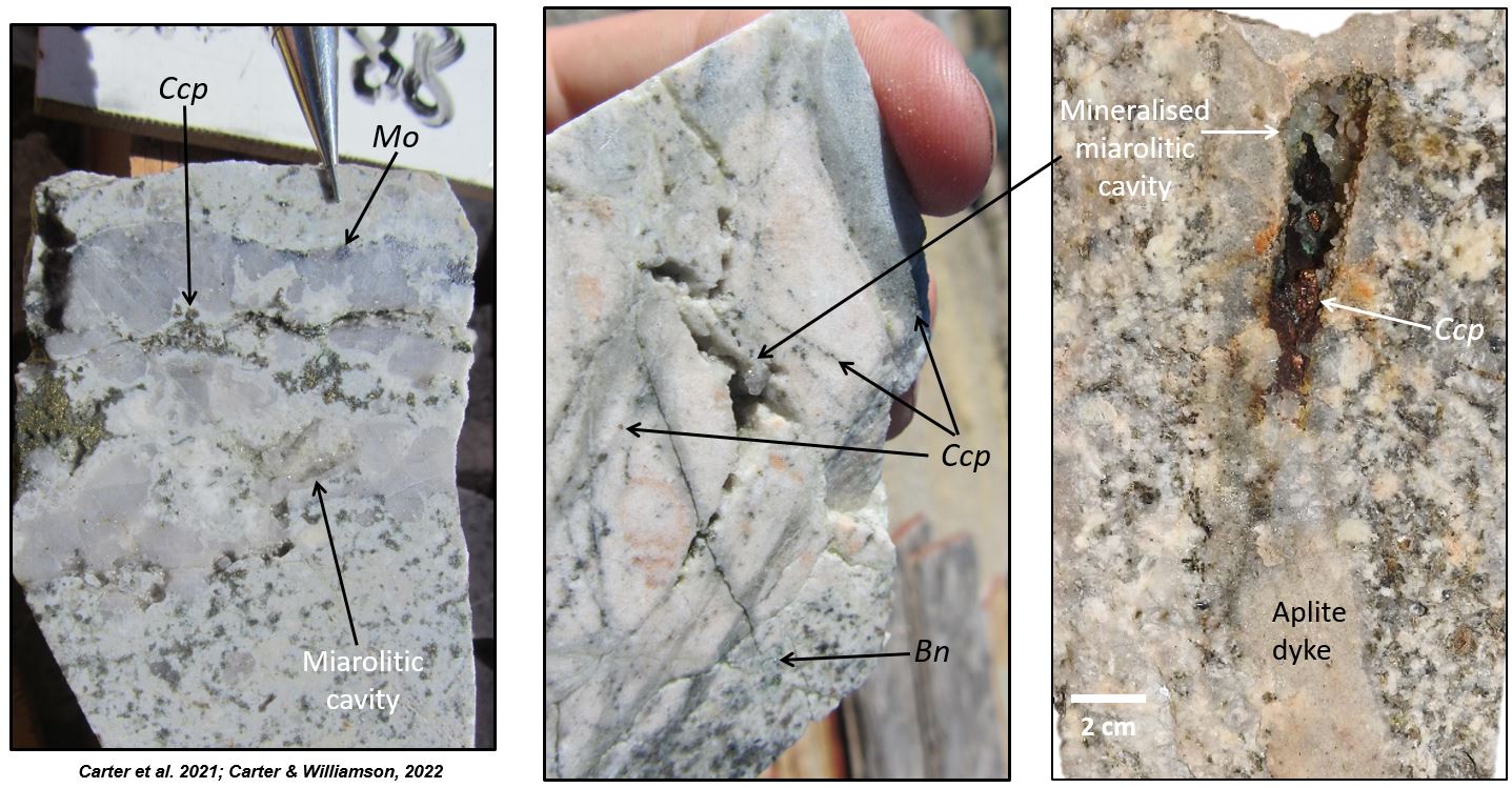 The 4-D architecture of a porphyry Cu mineralising magmatic ...